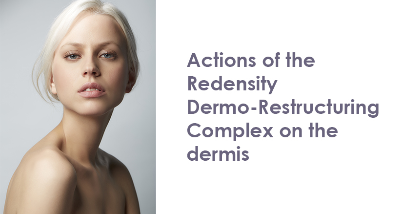 Actions of the Redensity Dermo-Restructuring Complex on the dermis